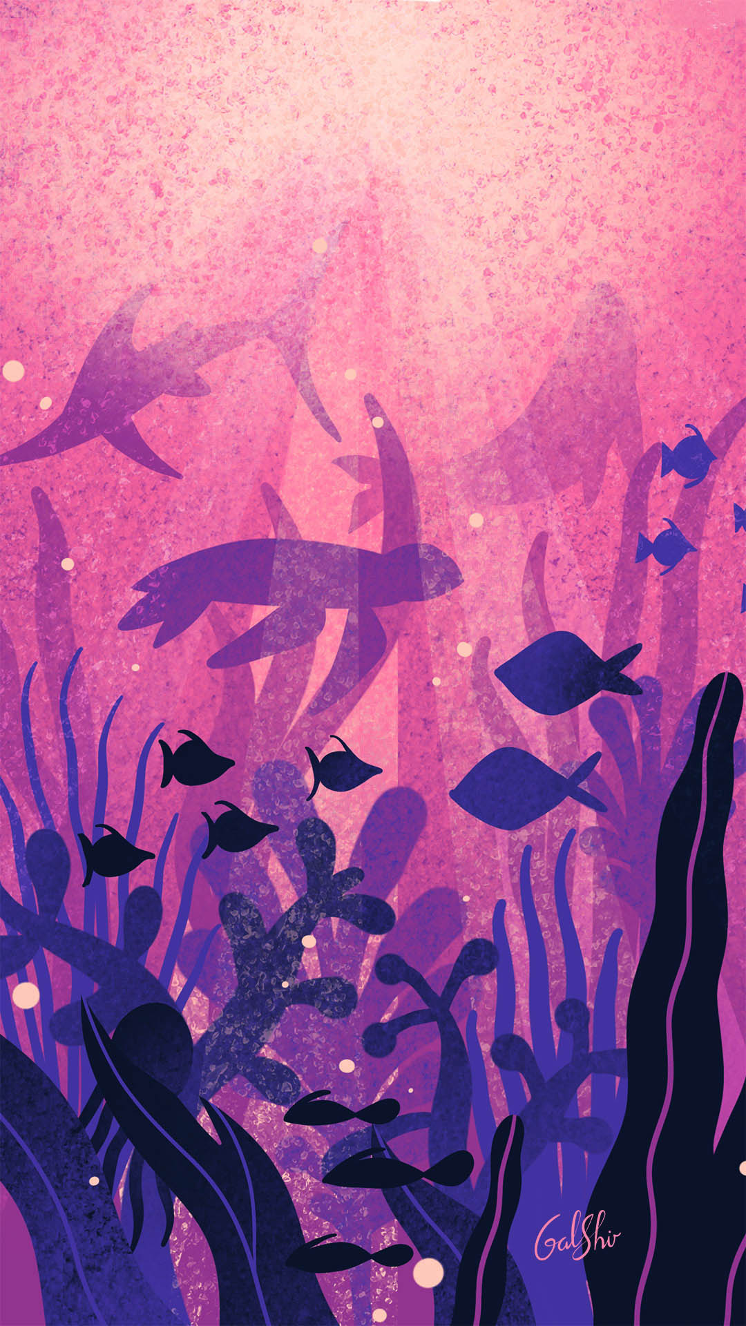 Gal Shir's Wallpapers