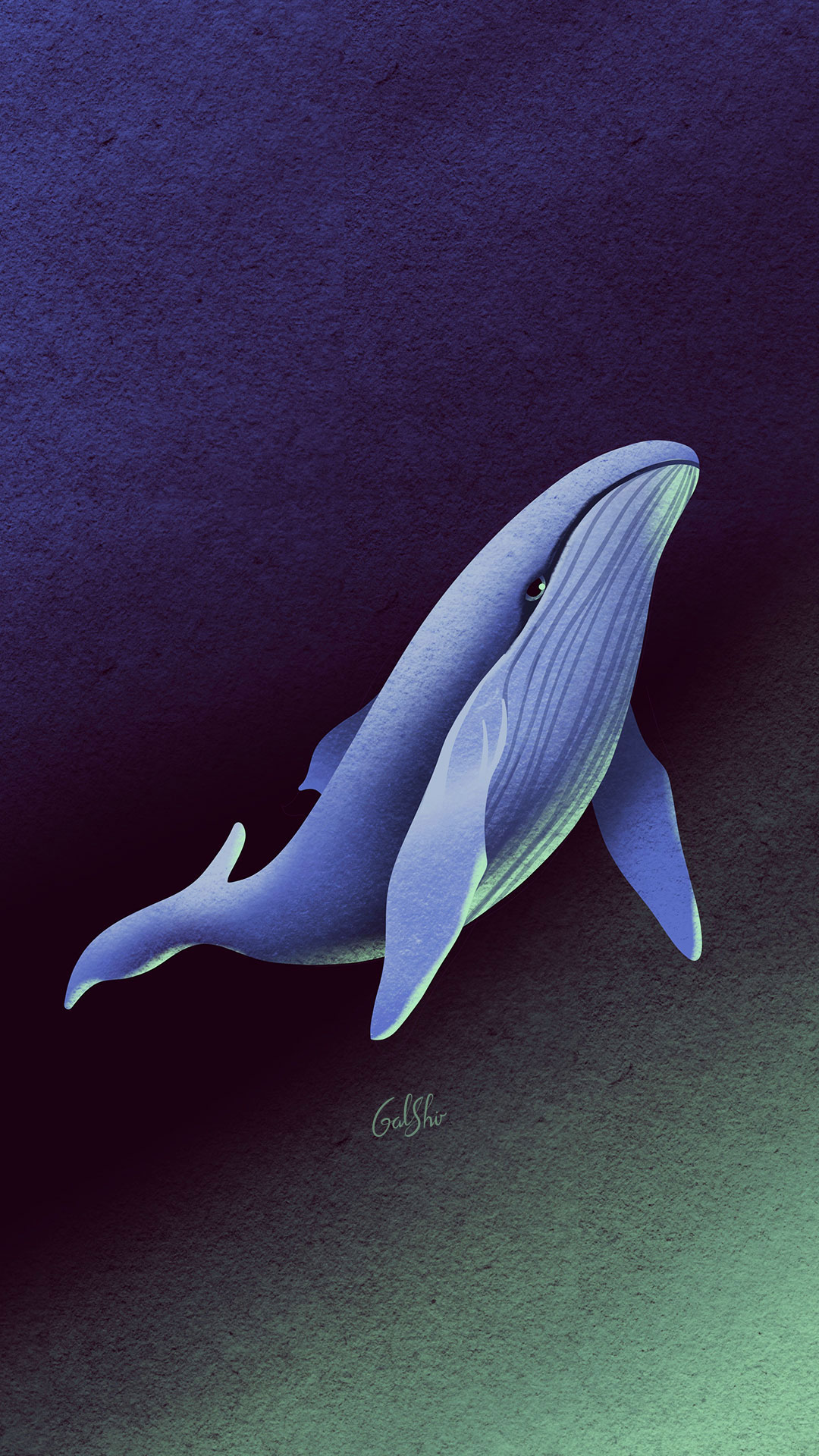 Gal Shir's Wallpapers