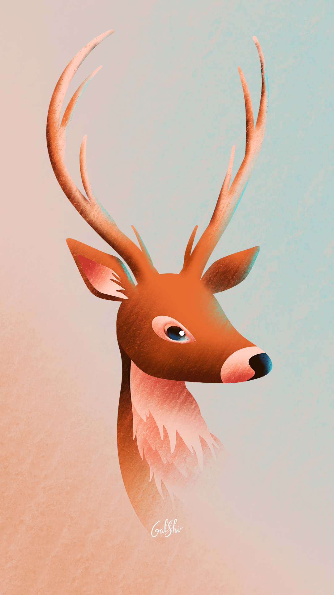 Gal Shir's Wallpapers