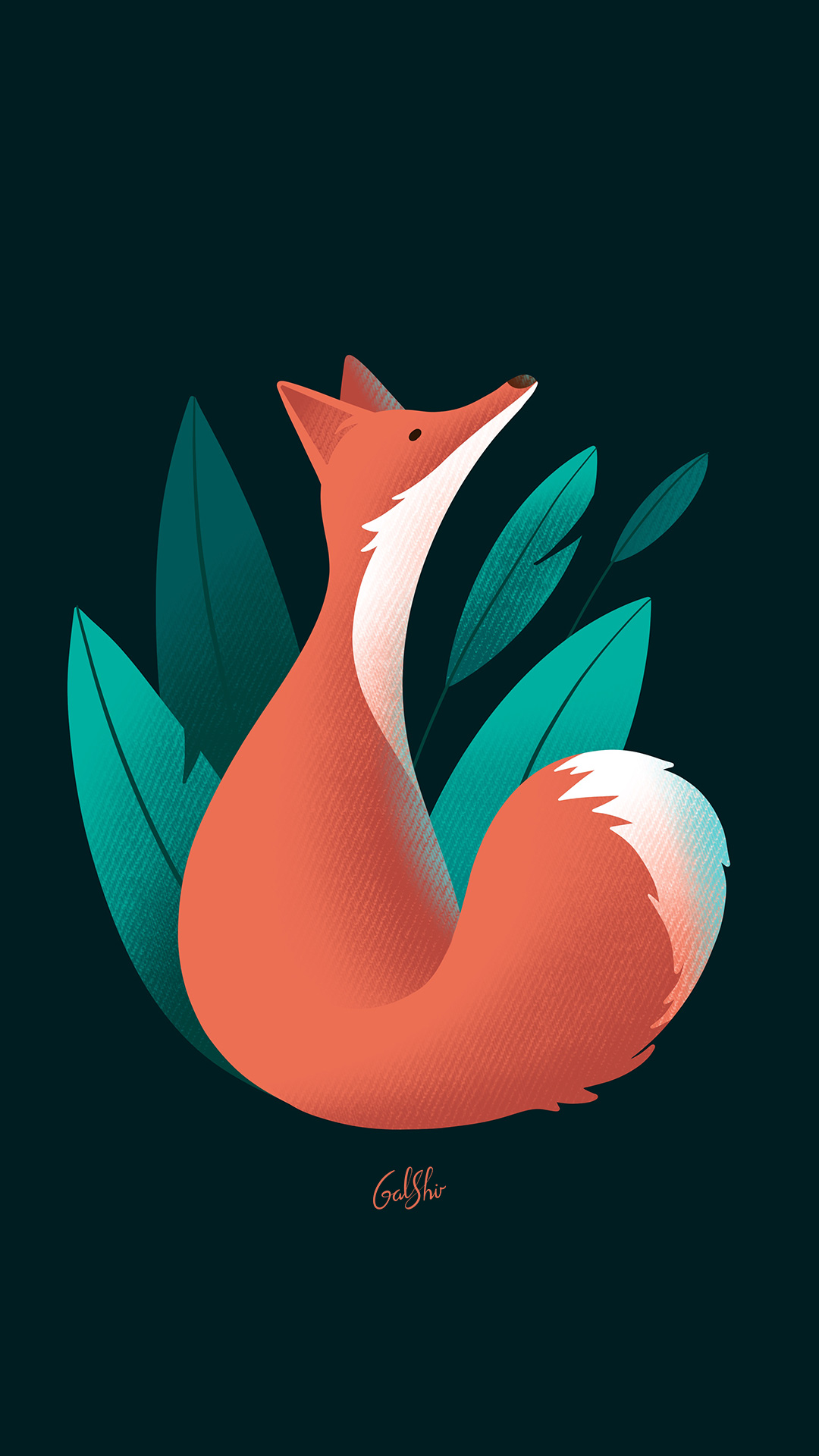 Gal Shir's Wallpapers