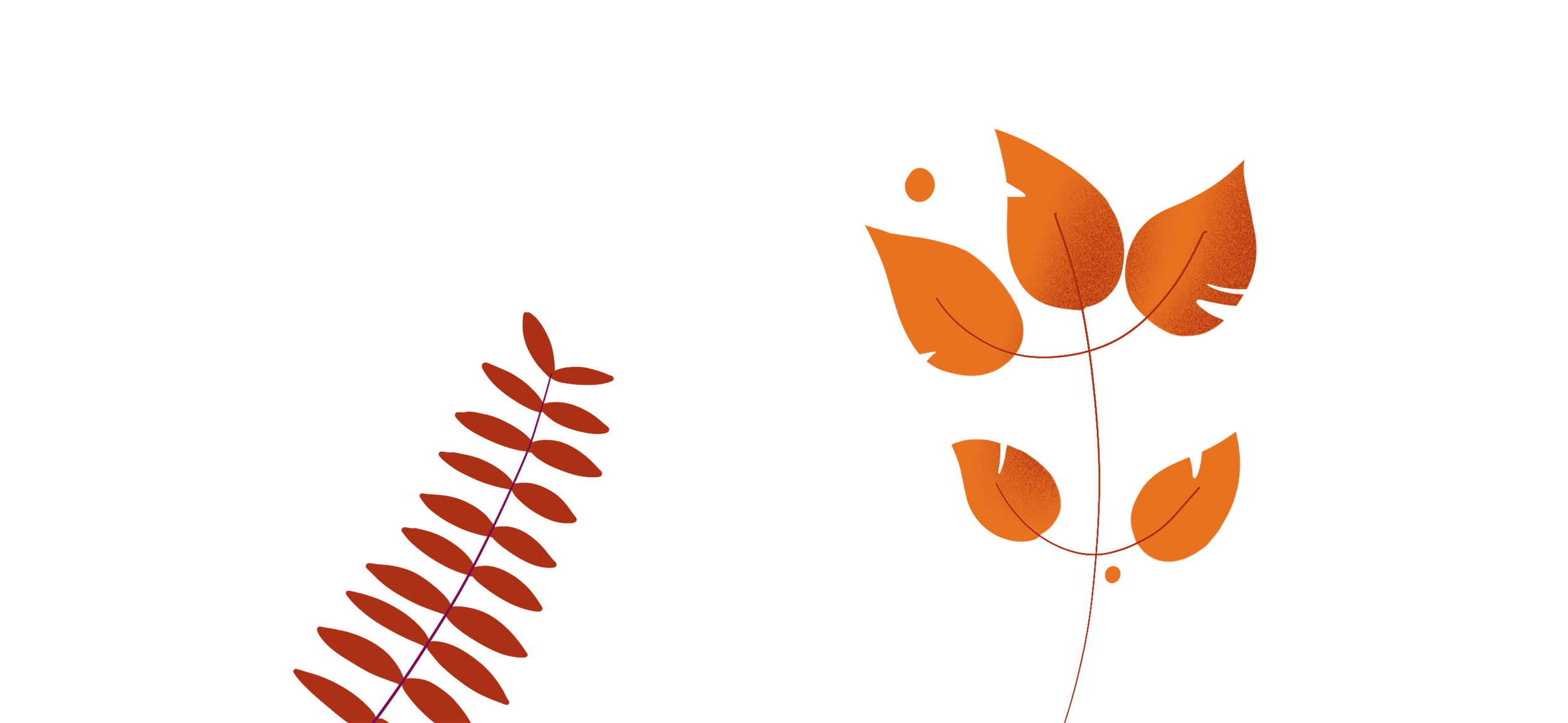 Gal Shir - Designer and Artist