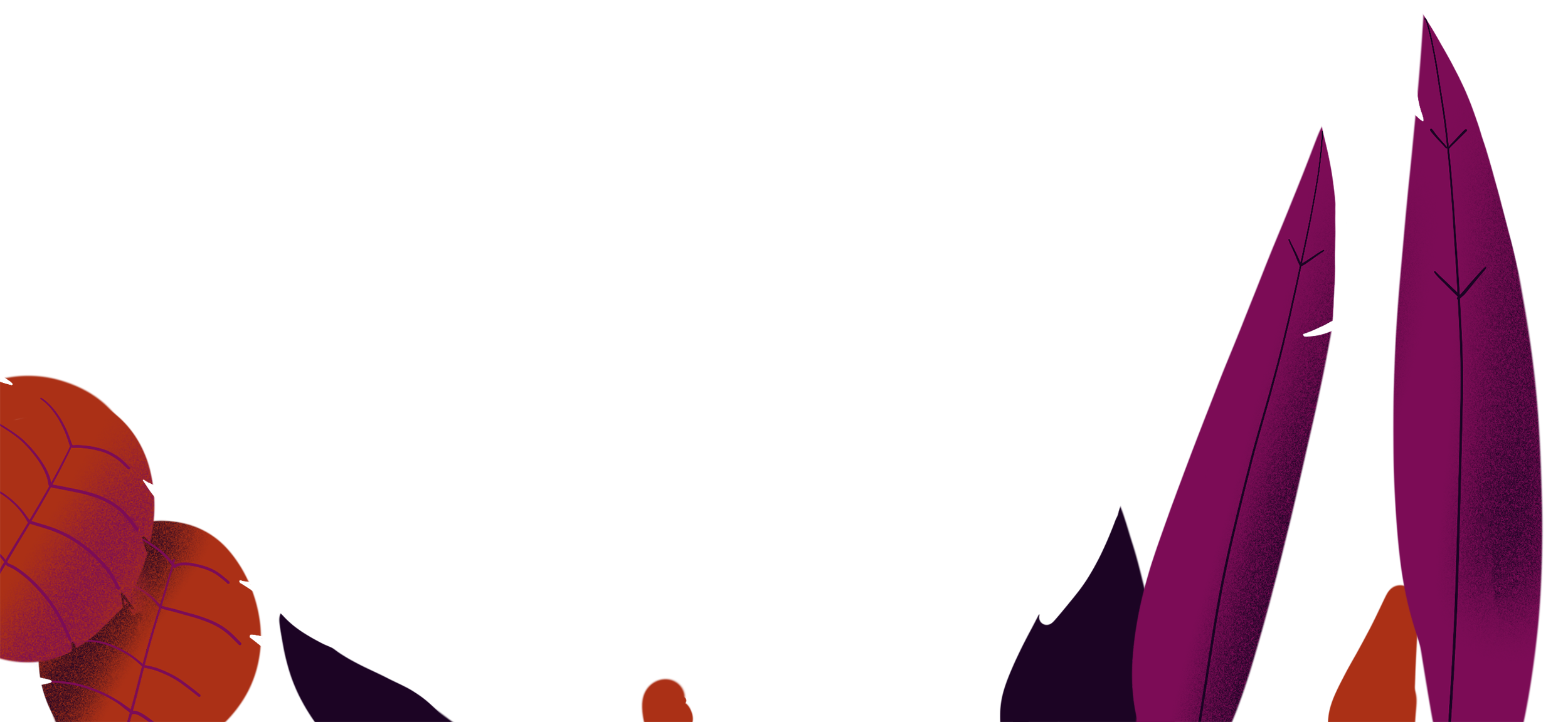 Gal Shir - Designer and Artist